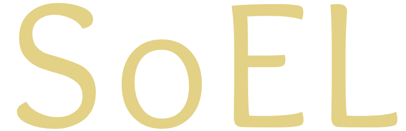 SOEL | School of experiential learning